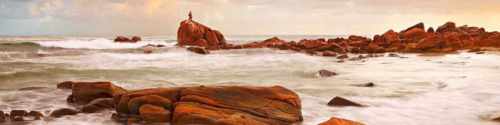 Conservation-Margaret-River-Page-Header-Beach - Nature Conservation ...