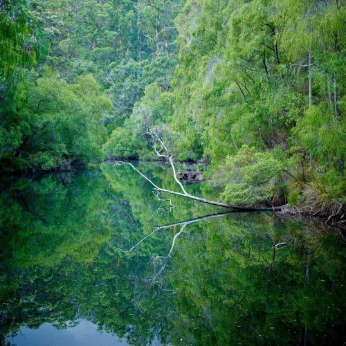 For Nature - Nature Conservation Margaret River Region