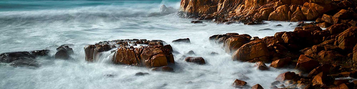 carint-for-our-coast - Nature Conservation Margaret River Region