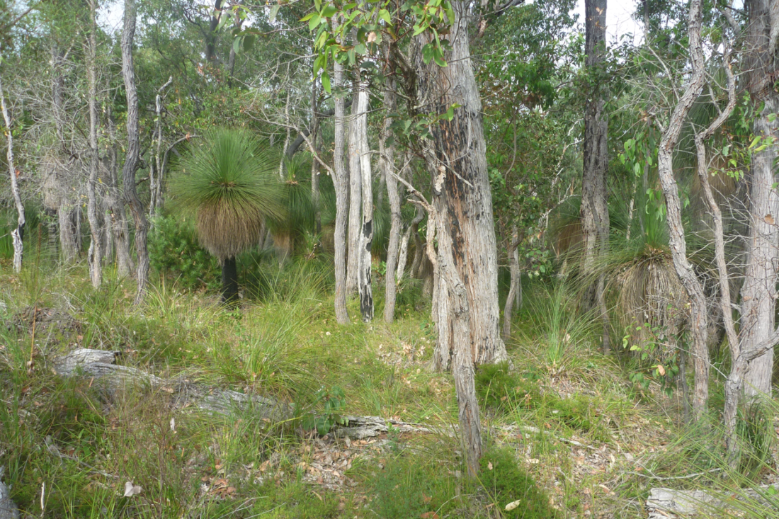 Caring for your bushland - Nature Conservation Margaret River Region