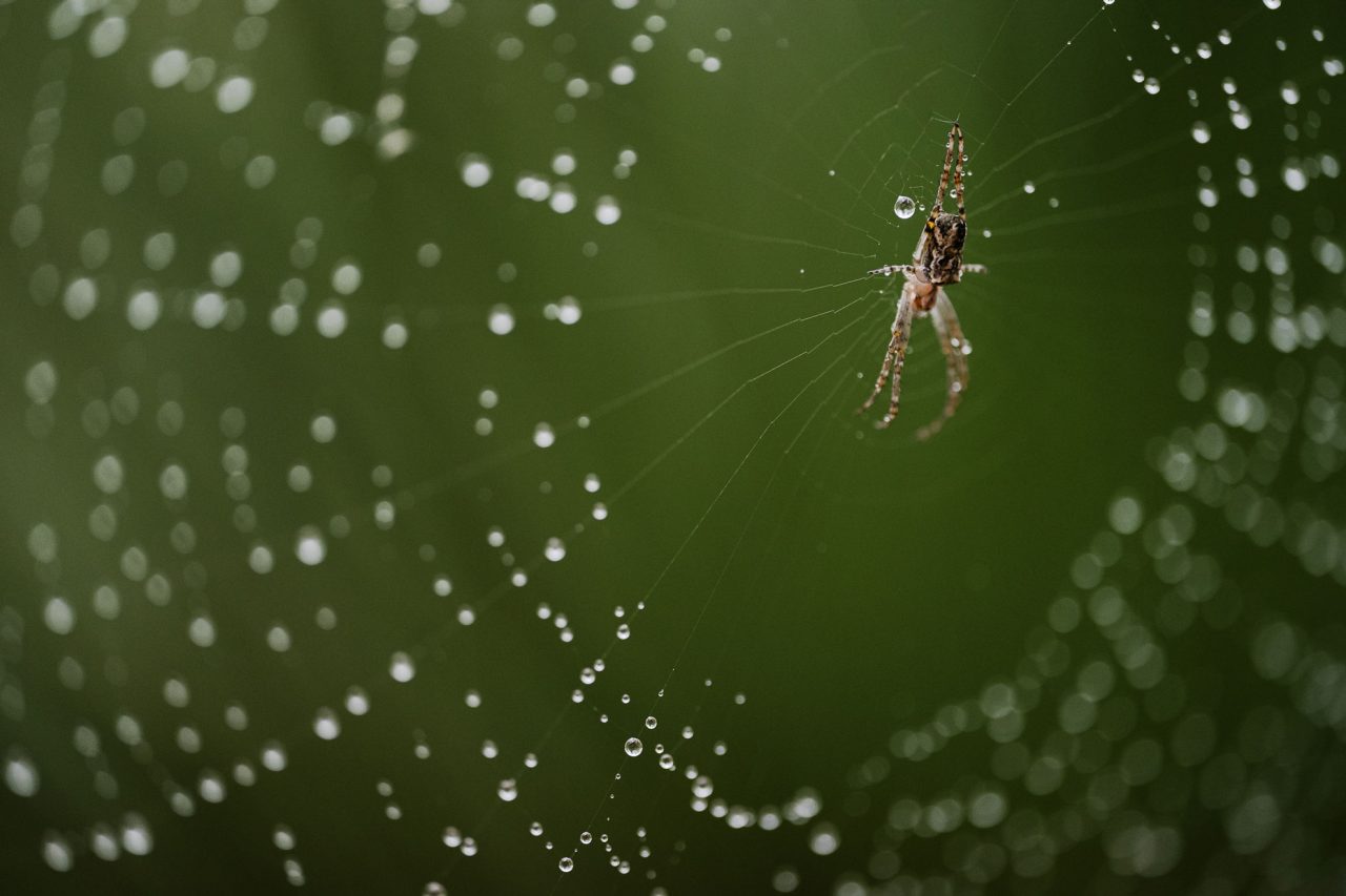 Resources - Nature Conservation Margaret River Region