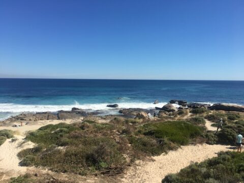 Caring for dunes at Gas Bay - Nature Conservation Margaret River Region
