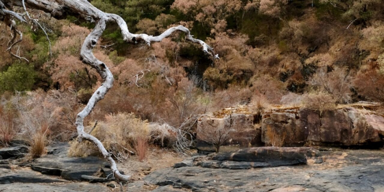 Water in our drying climate - Nature Conservation Margaret River Region